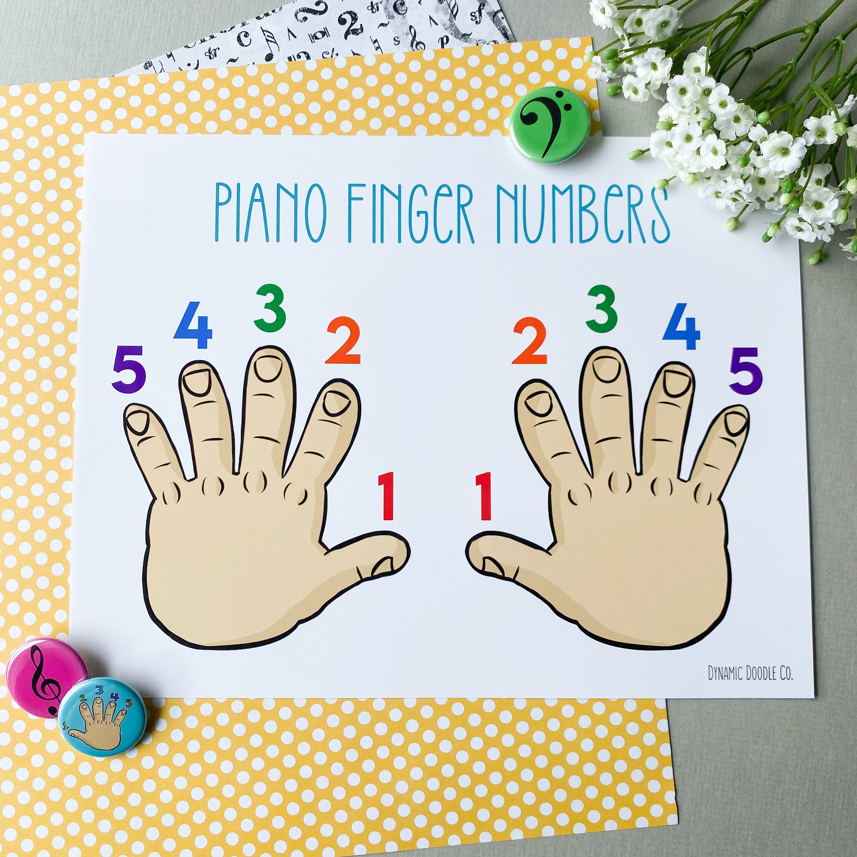 Piano Finger Numbers Poster – Dynamic Doodle Co.